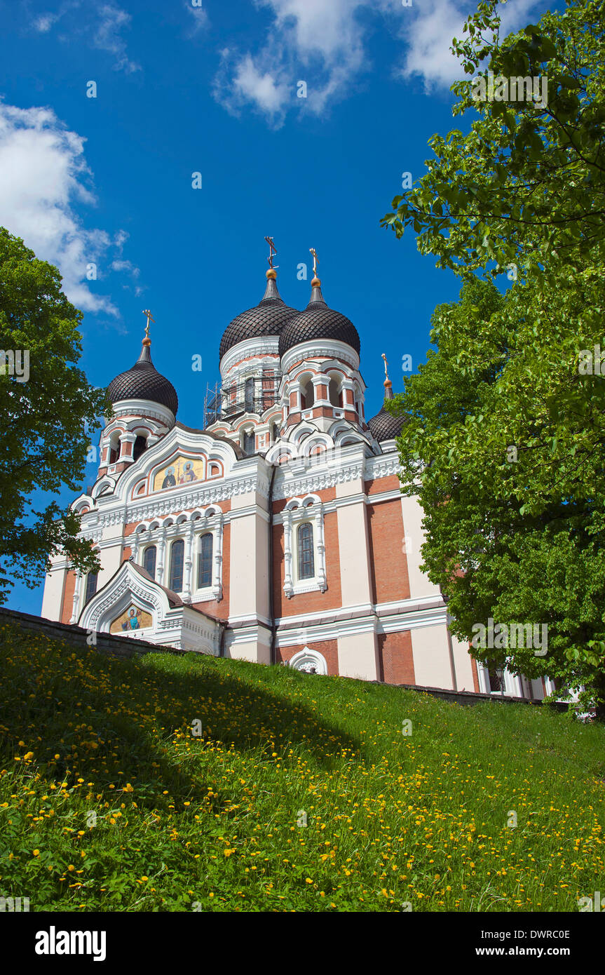 Vertical tallinn hi-res stock photography and images - Alamy