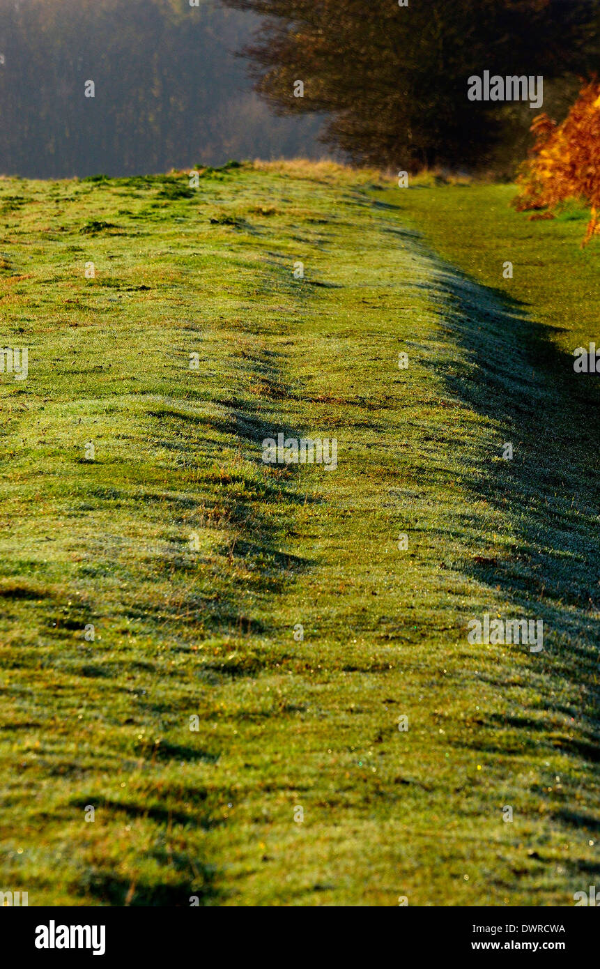 Slope contrast hi-res stock photography and images - Alamy