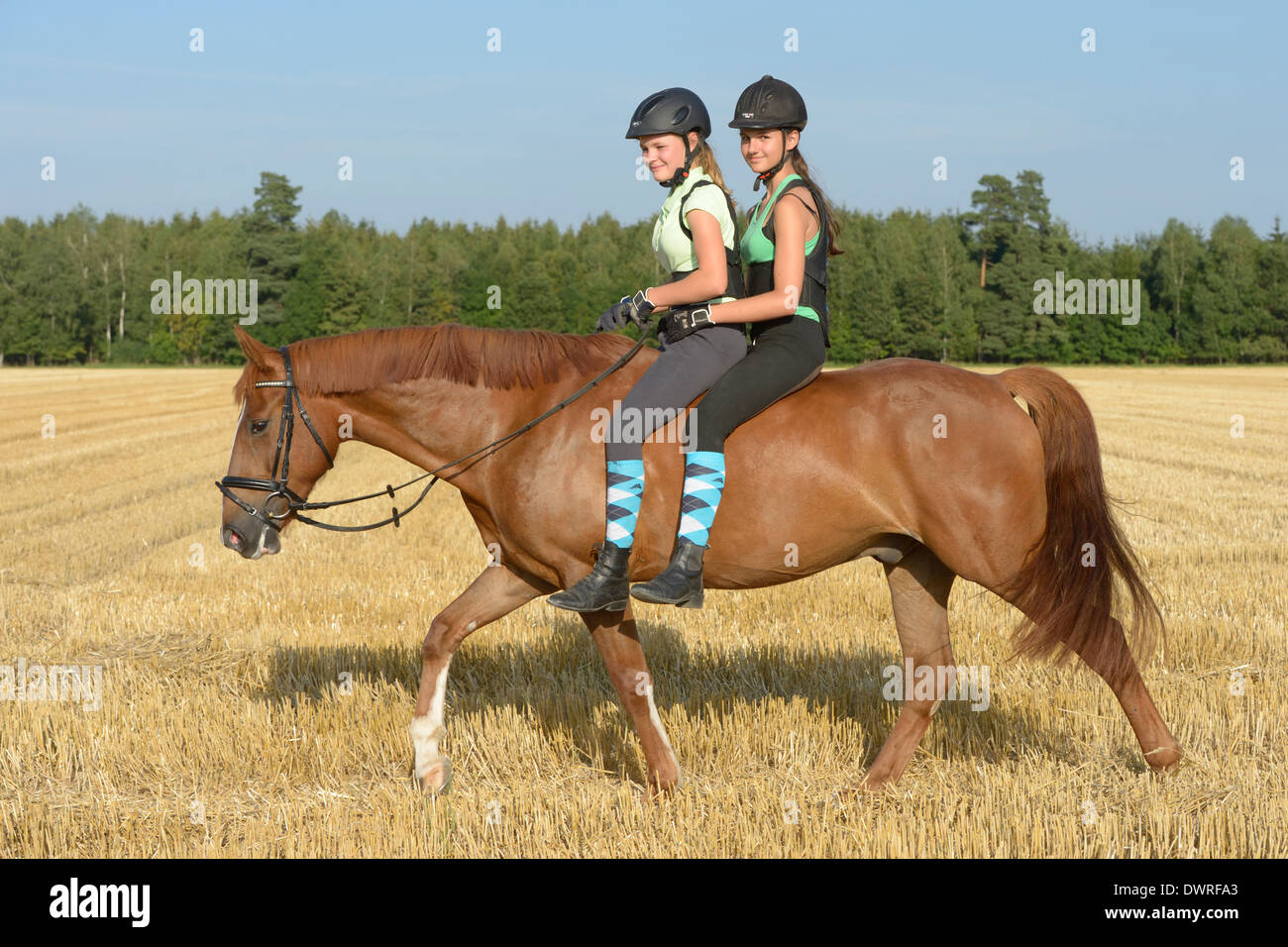 Two girls on ponies riding hi-res stock photography and images - Alamy