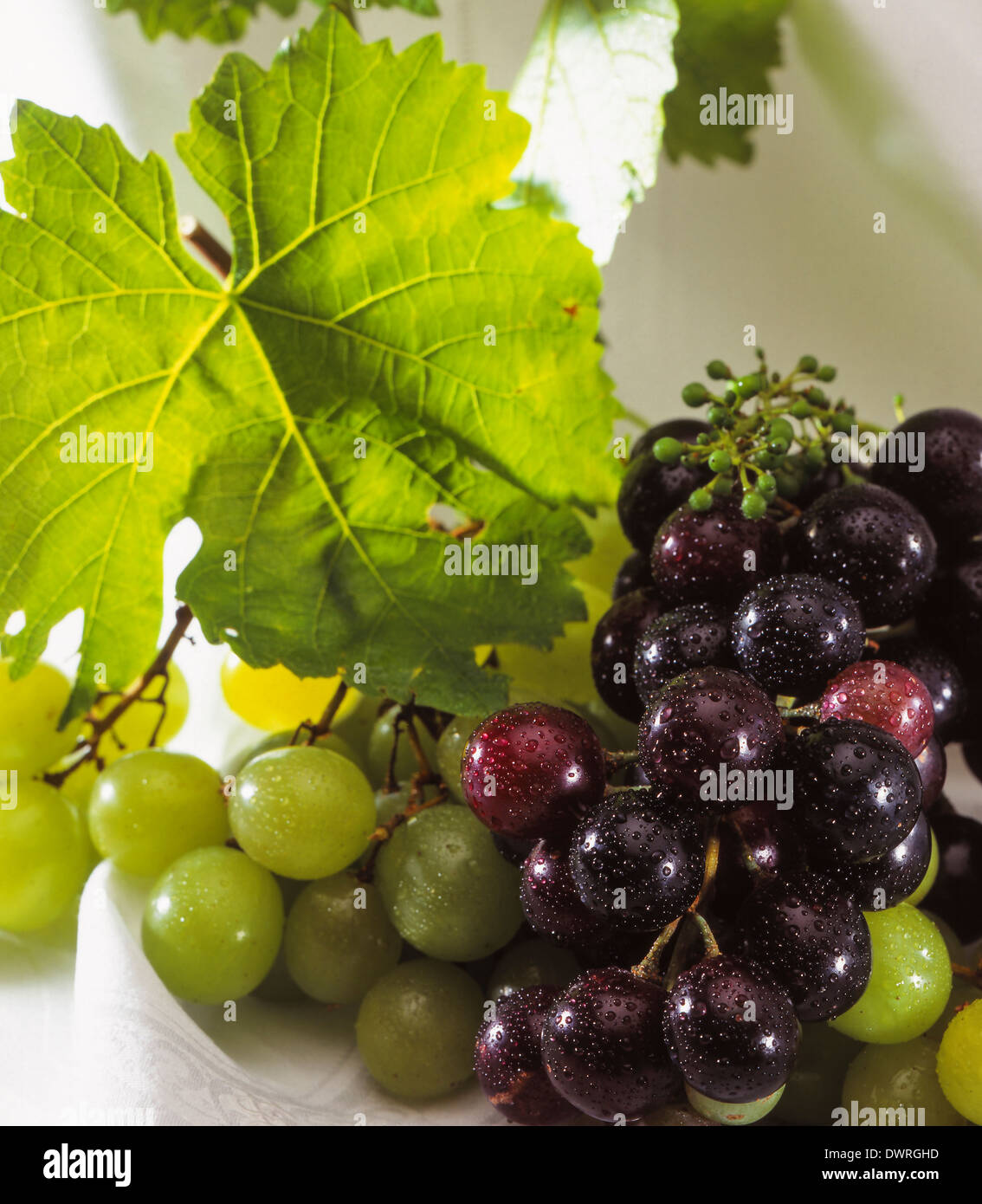 Red and white grapes Stock Photo - Alamy