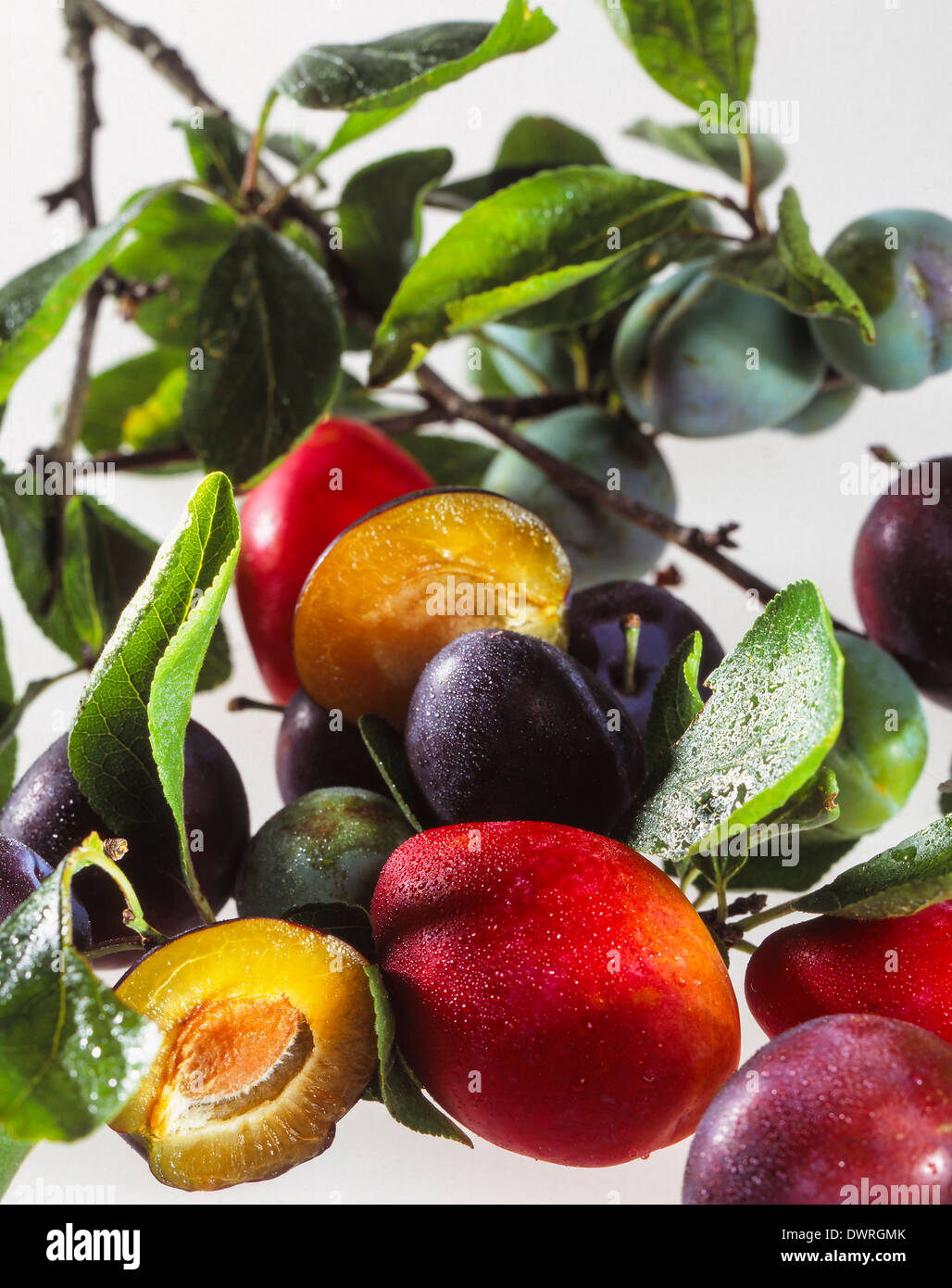 Fruit, fruits, fresh plums Stock Photo - Alamy