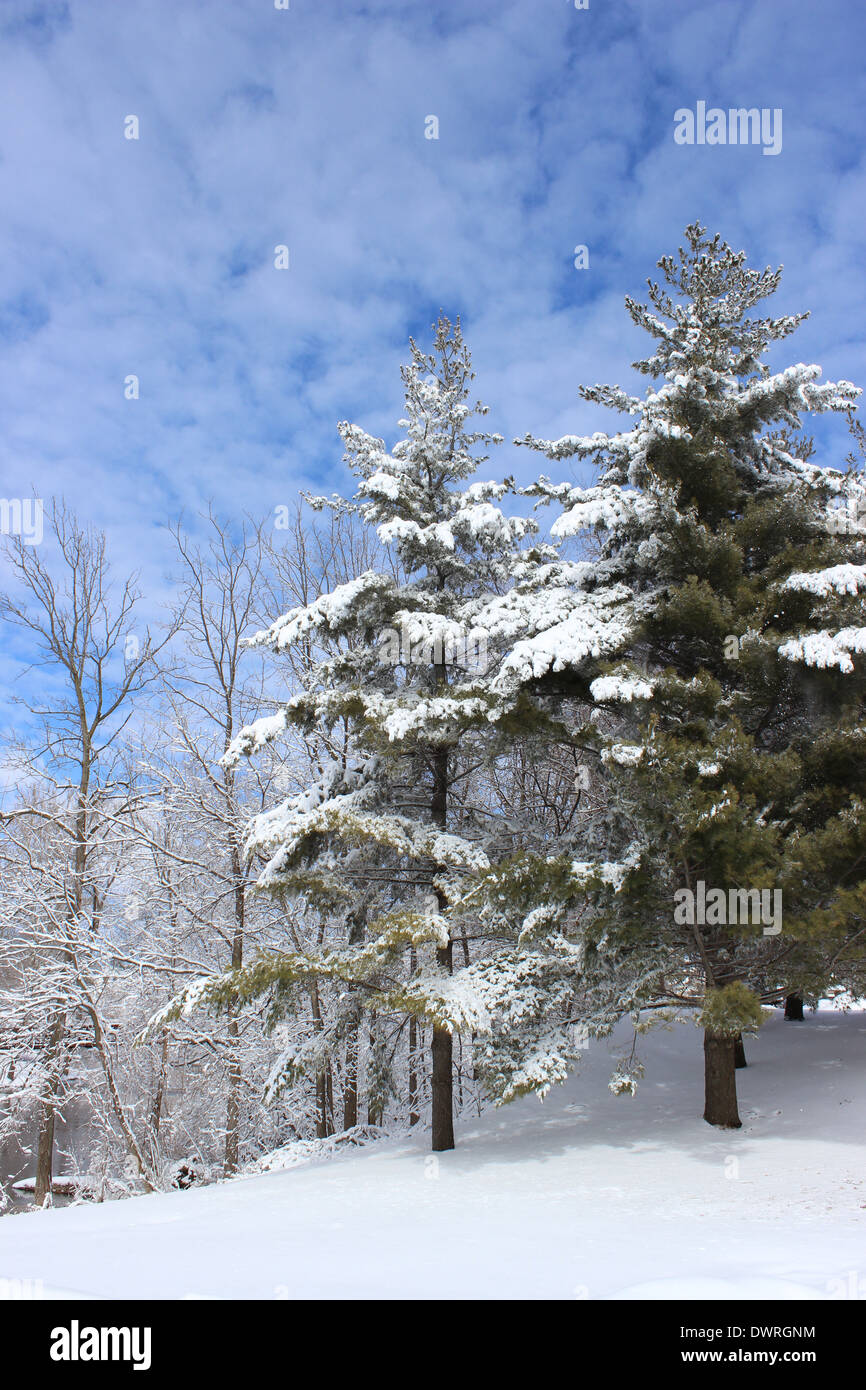 Photograph of a wonderful winter scene Stock Photo - Alamy