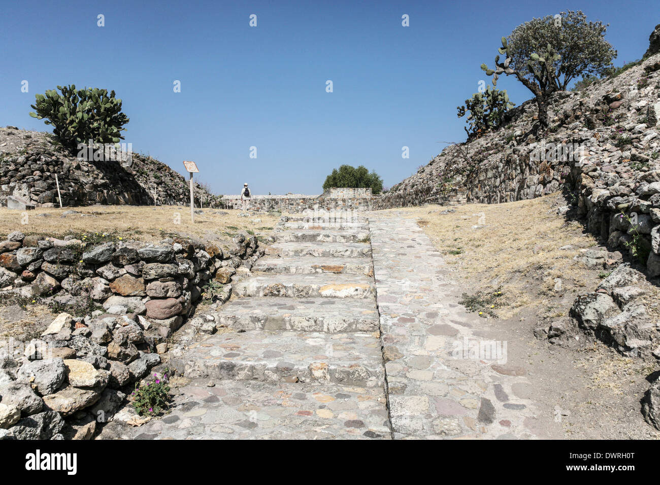 stone steps lead into the ruins of the ancient city of Yagul from the ...