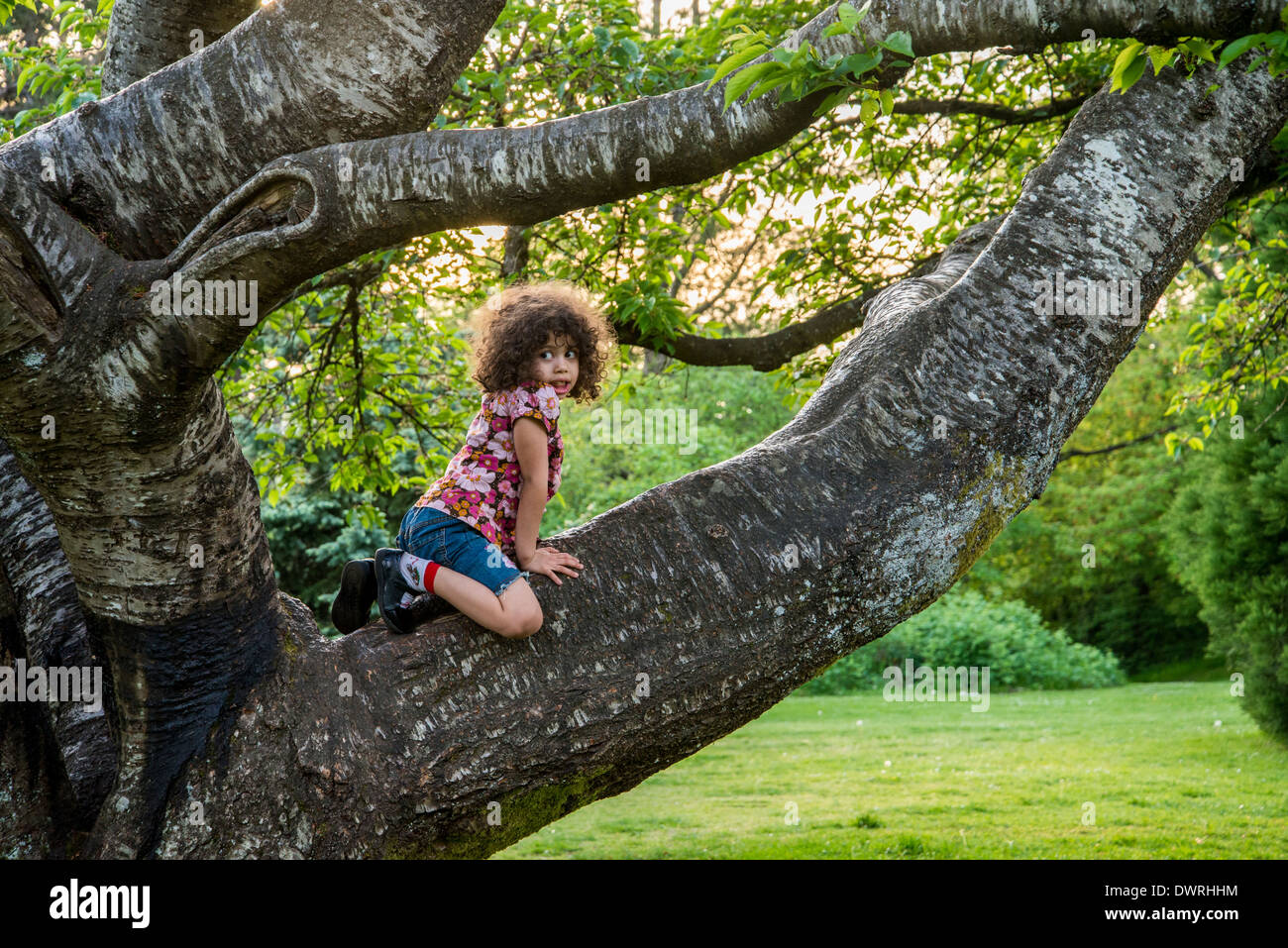 Girl with tree hi-res stock photography and images - Alamy