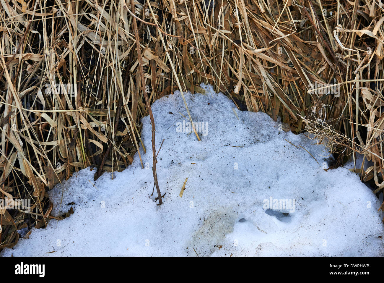 Full melt hi-res stock photography and images - Alamy