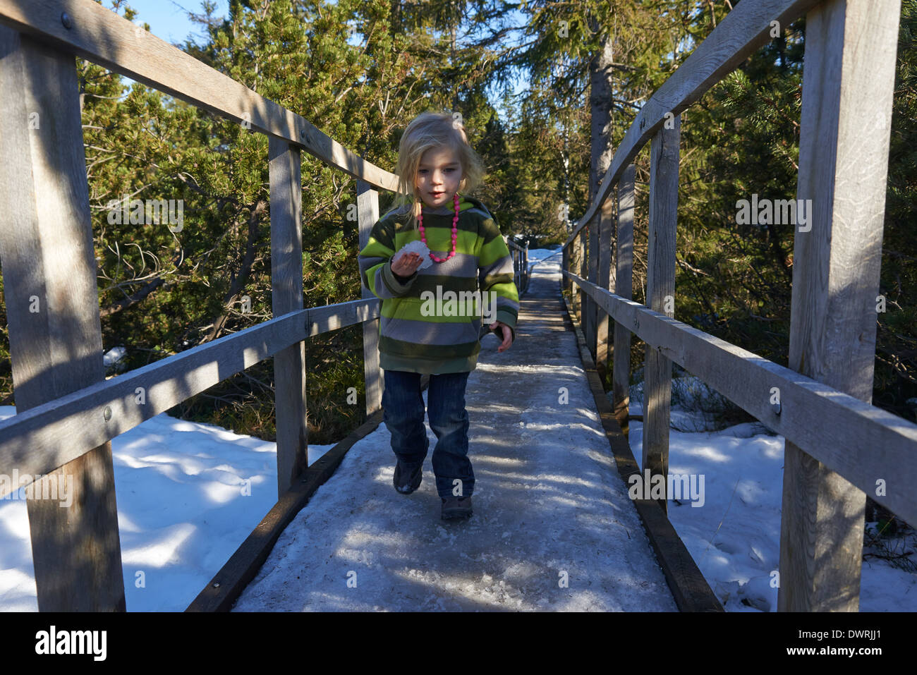 Naucna stezka Bozidarske raseliniste, Bozi dar pathway, Ore mountains ...