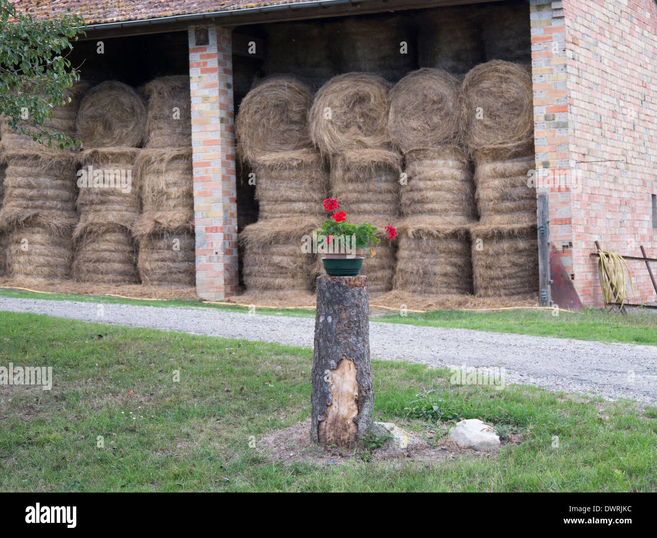Flowers decorate a tree stump in front of a hay barn on a farm in Aude ...
