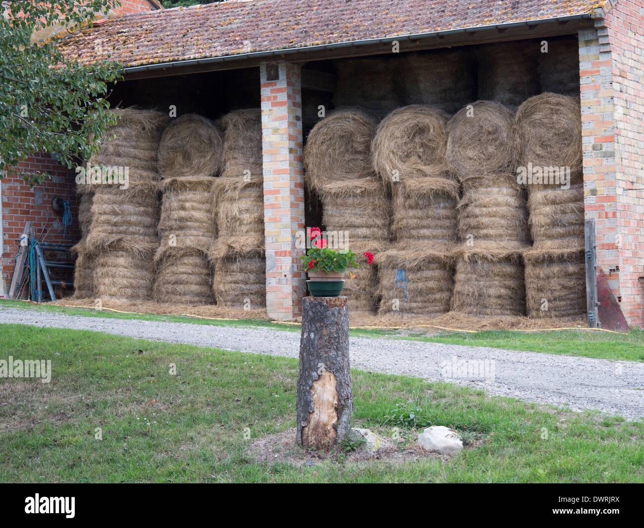 Decorate a tree hi-res stock photography and images - Alamy