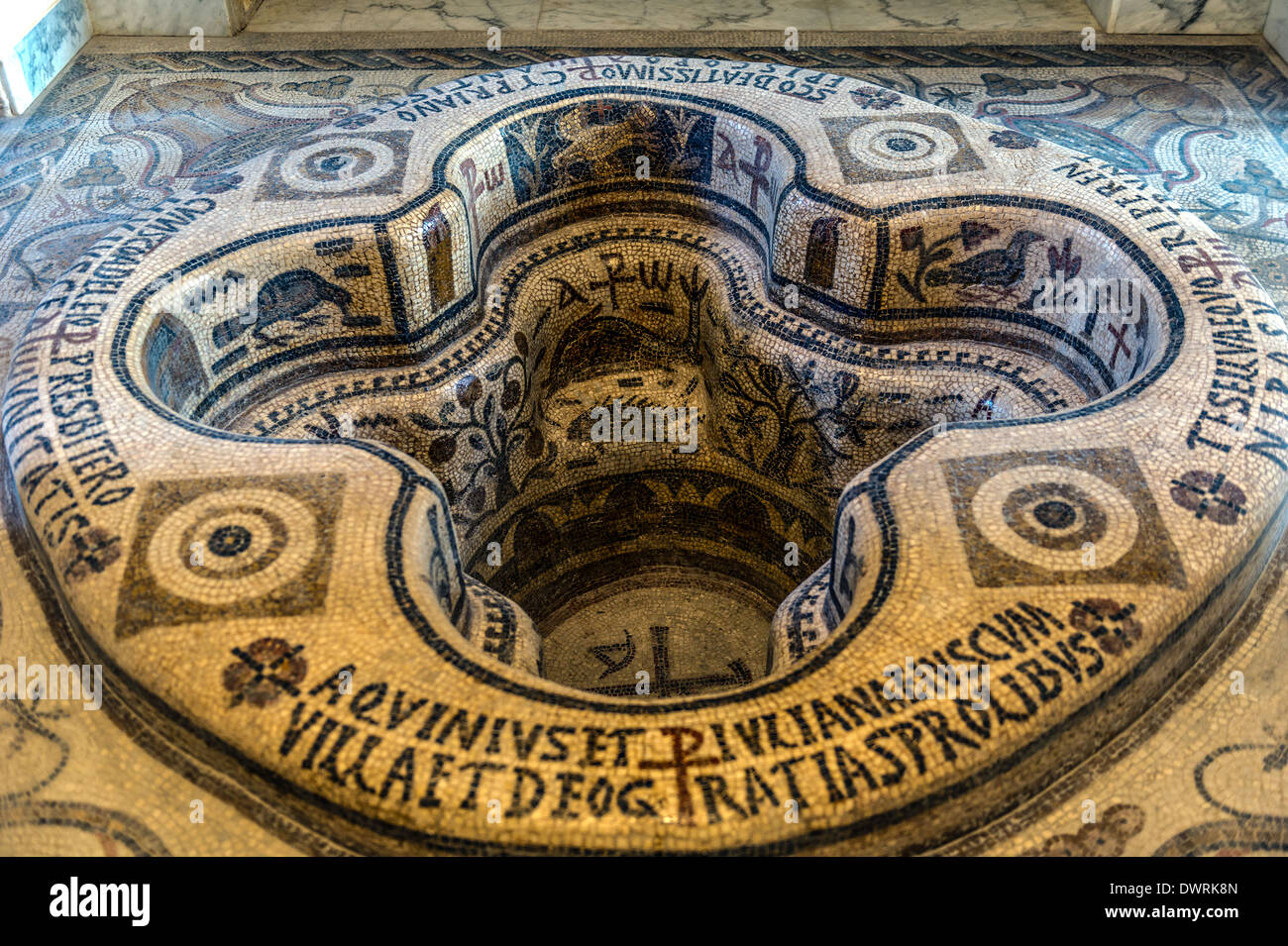 North Africa, Tunisia, Tunis. The Bardo Museum. Basin serving as giant ...