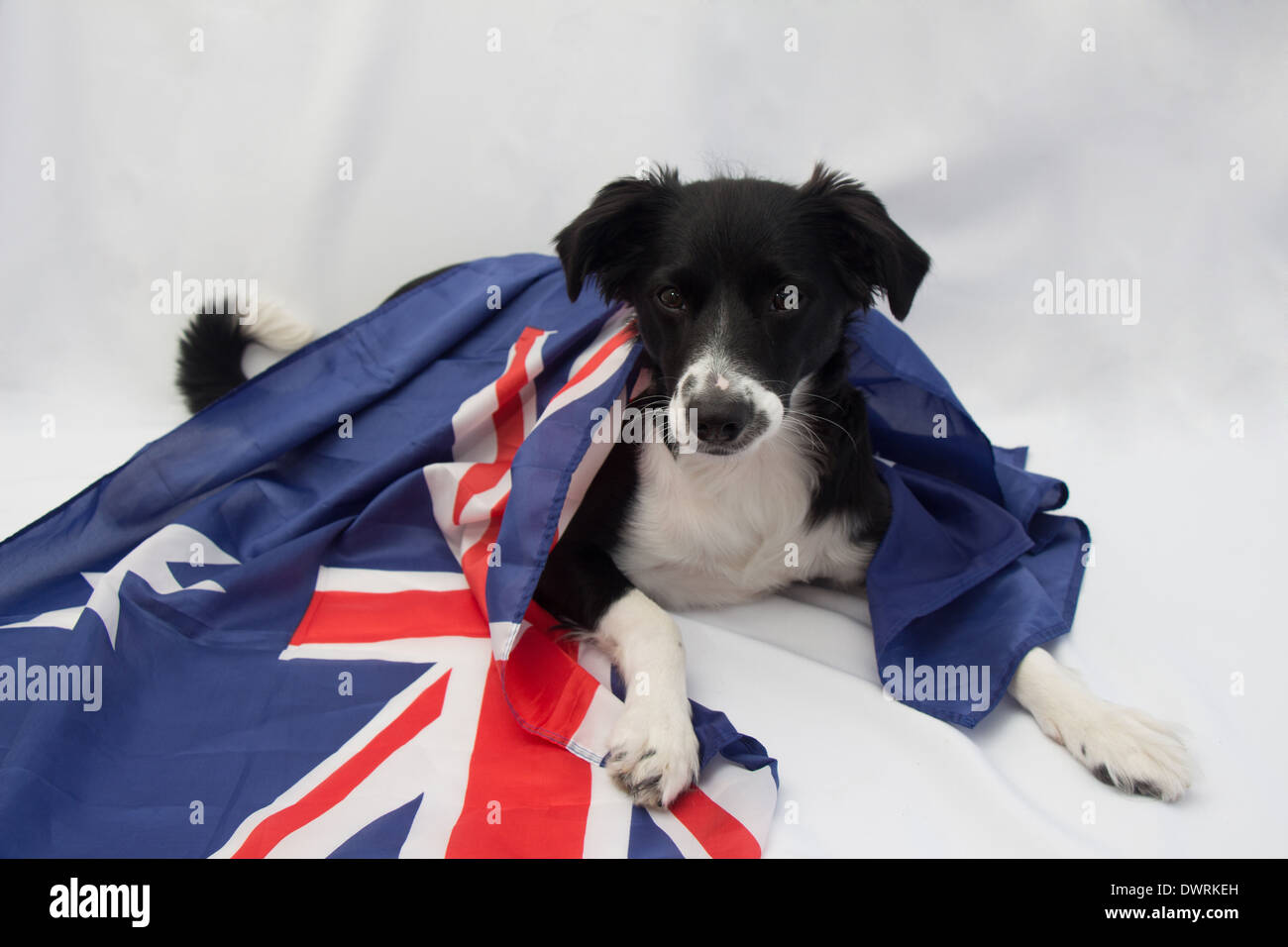 Australian soccer hi-res stock photography and images - Alamy