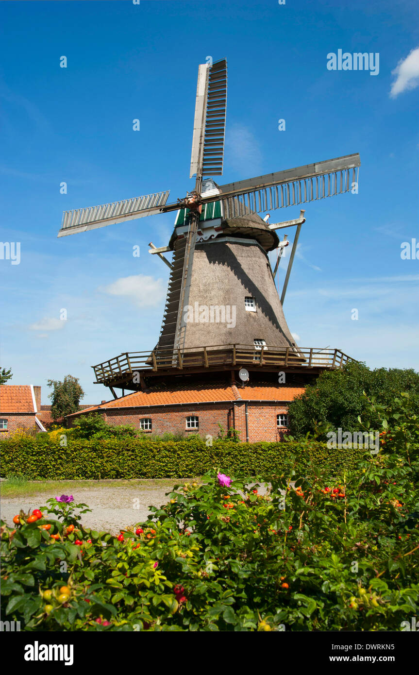 Mark images hi-res stock photography and images - Alamy