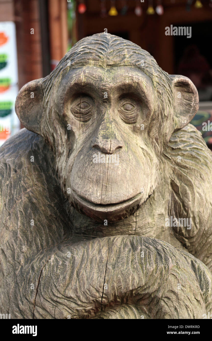 Uk sign woods hi-res stock photography and images - Alamy