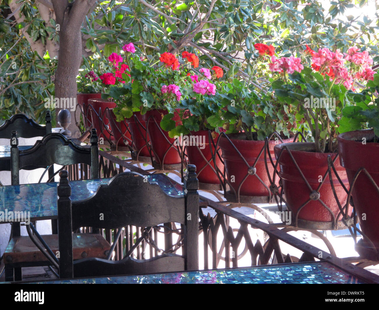 Potted geraniums on a balcony Stock Photo - Alamy