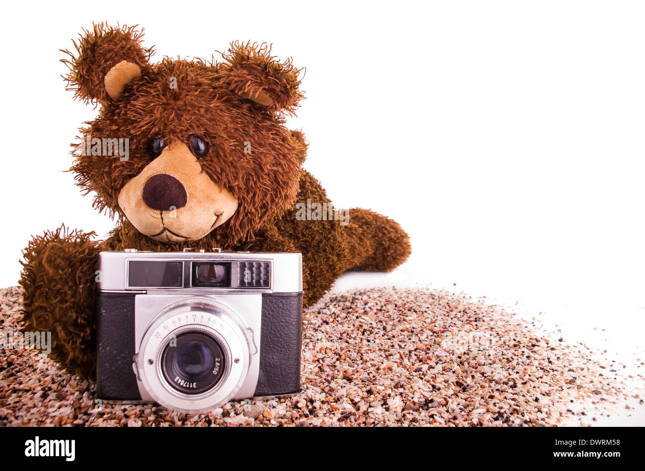 Cute teddy bear is with a camera on the sand Stock Photo - Alamy