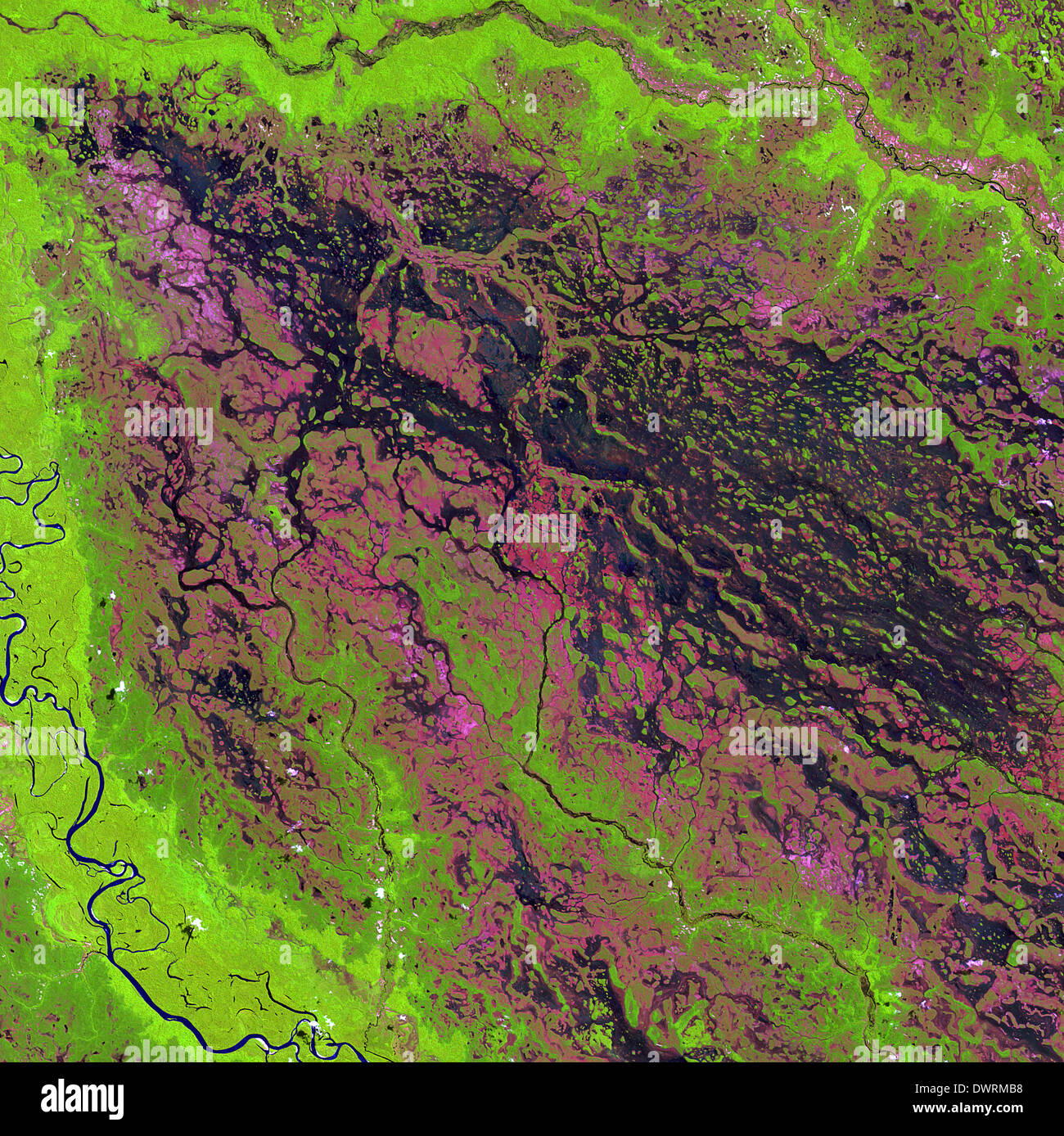 Demini River in northwestern Brazil as seen from space Stock Photo - Alamy