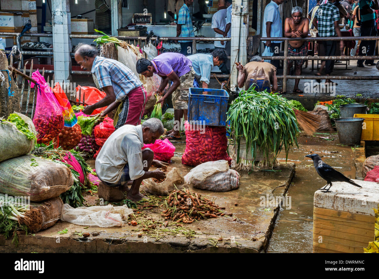 Vegetable and food market Kandy Sri Lanka Stock Photo - Alamy