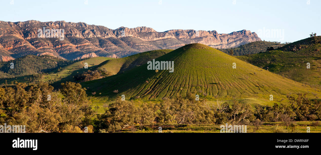 scene in Flinders Ranges Australia Stock Photo - Alamy
