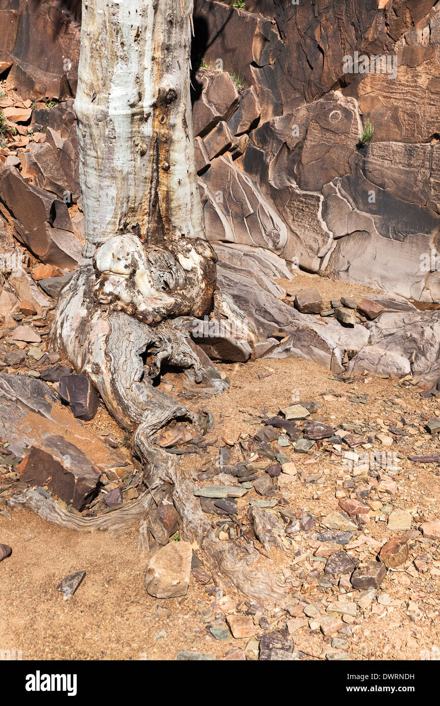 scene in Flinders Ranges Australia Sacred Canyon Stock Photo - Alamy