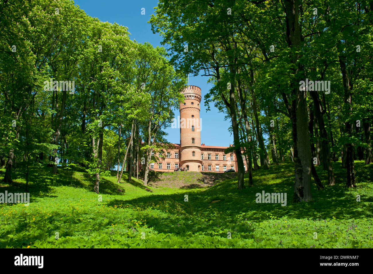 Castle Raudondvaris, Raudone Stock Photo - Alamy