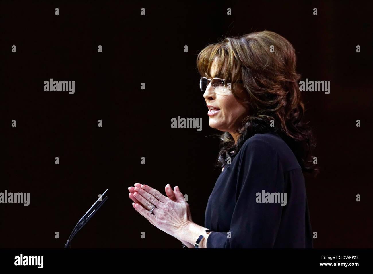 Former Alaska Governor and Tea Party figure Sarah Palin pictured during ...