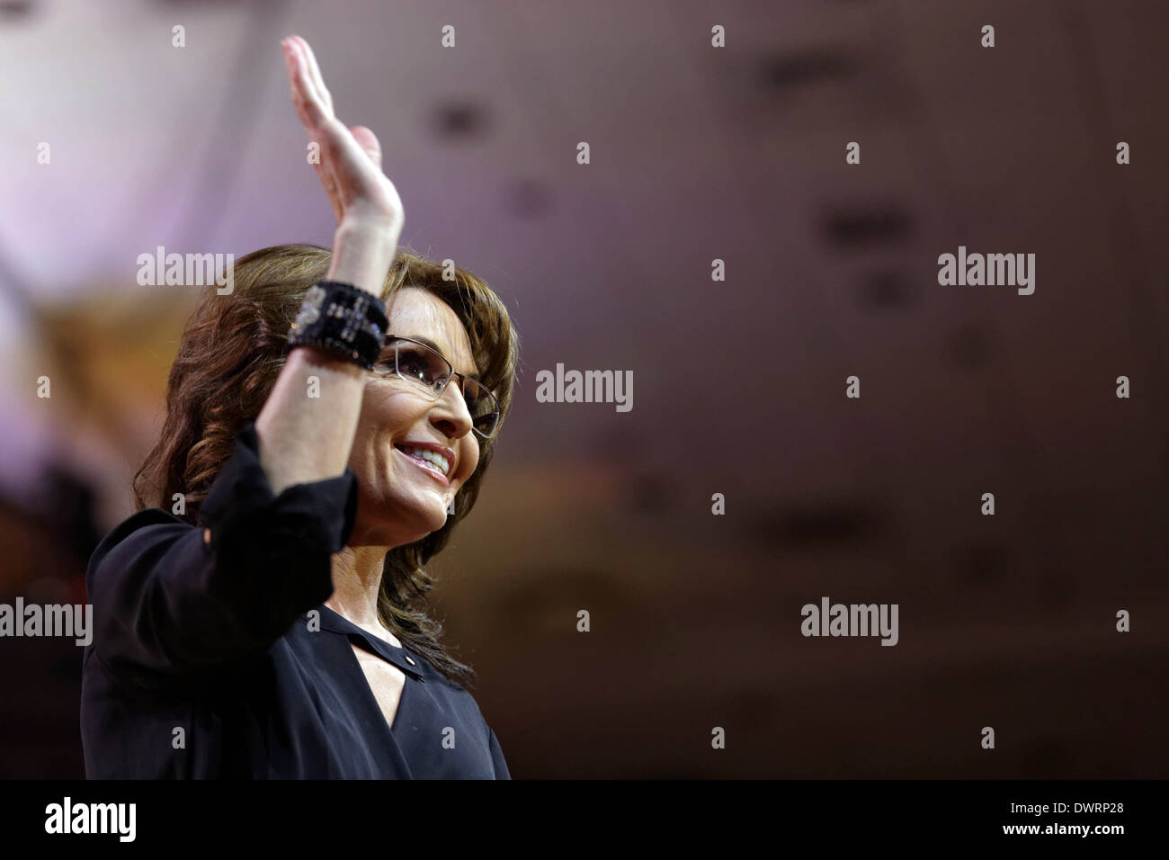 Former Alaska Governor and Tea Party figure Sarah Palin pictured during ...