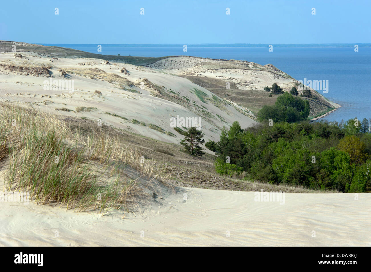 Grey Dunes, Curonian Spit Stock Photo - Alamy