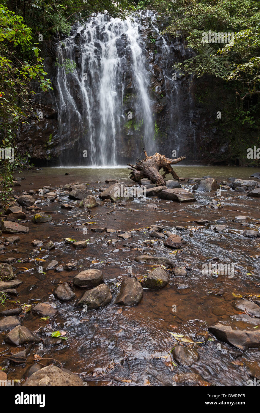 Queensland waterfall hi-res stock photography and images - Alamy