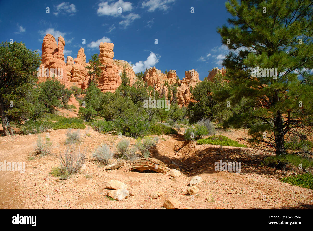 Red canyon utah hi-res stock photography and images - Alamy