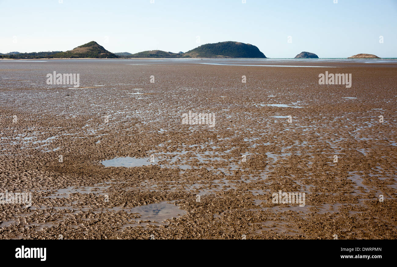 at low tide these beautiful patterns show up Stock Photo - Alamy