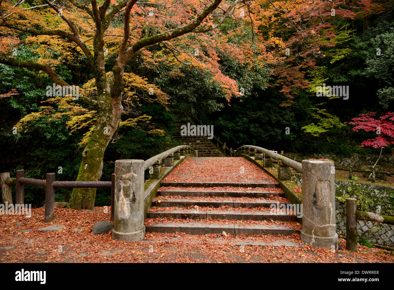 Traditional bridge japan hi-res stock photography and images - Alamy