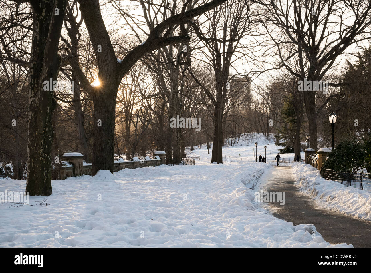 Snow and winter central park hi-res stock photography and images - Alamy