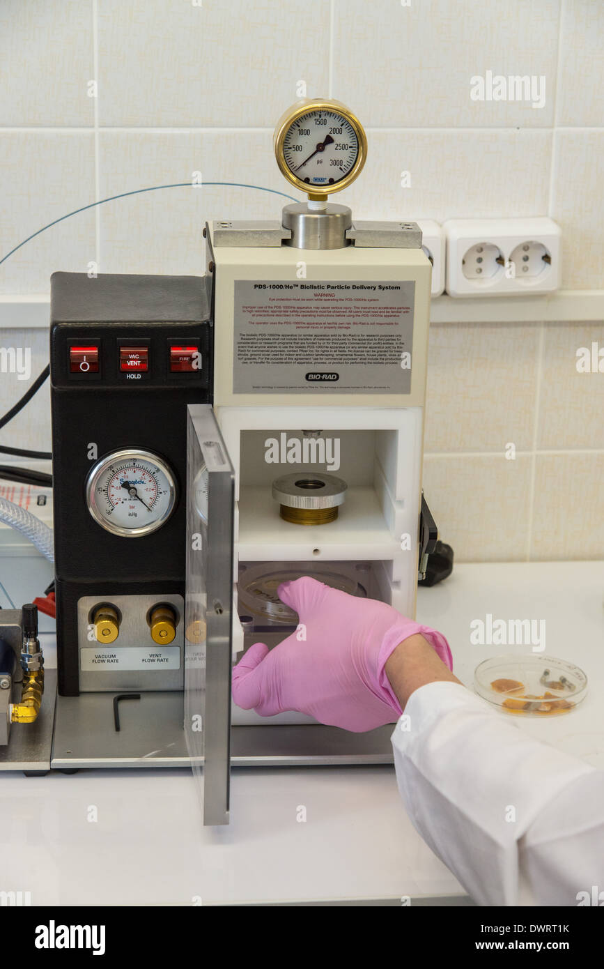 Bio science student search hi-res stock photography and images - Alamy