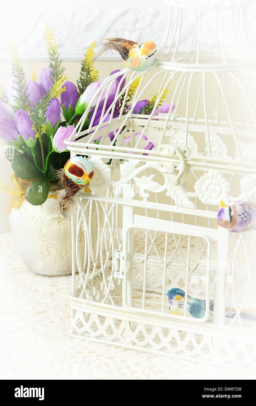 Beautiful cage birds on hi-res stock photography and images - Alamy