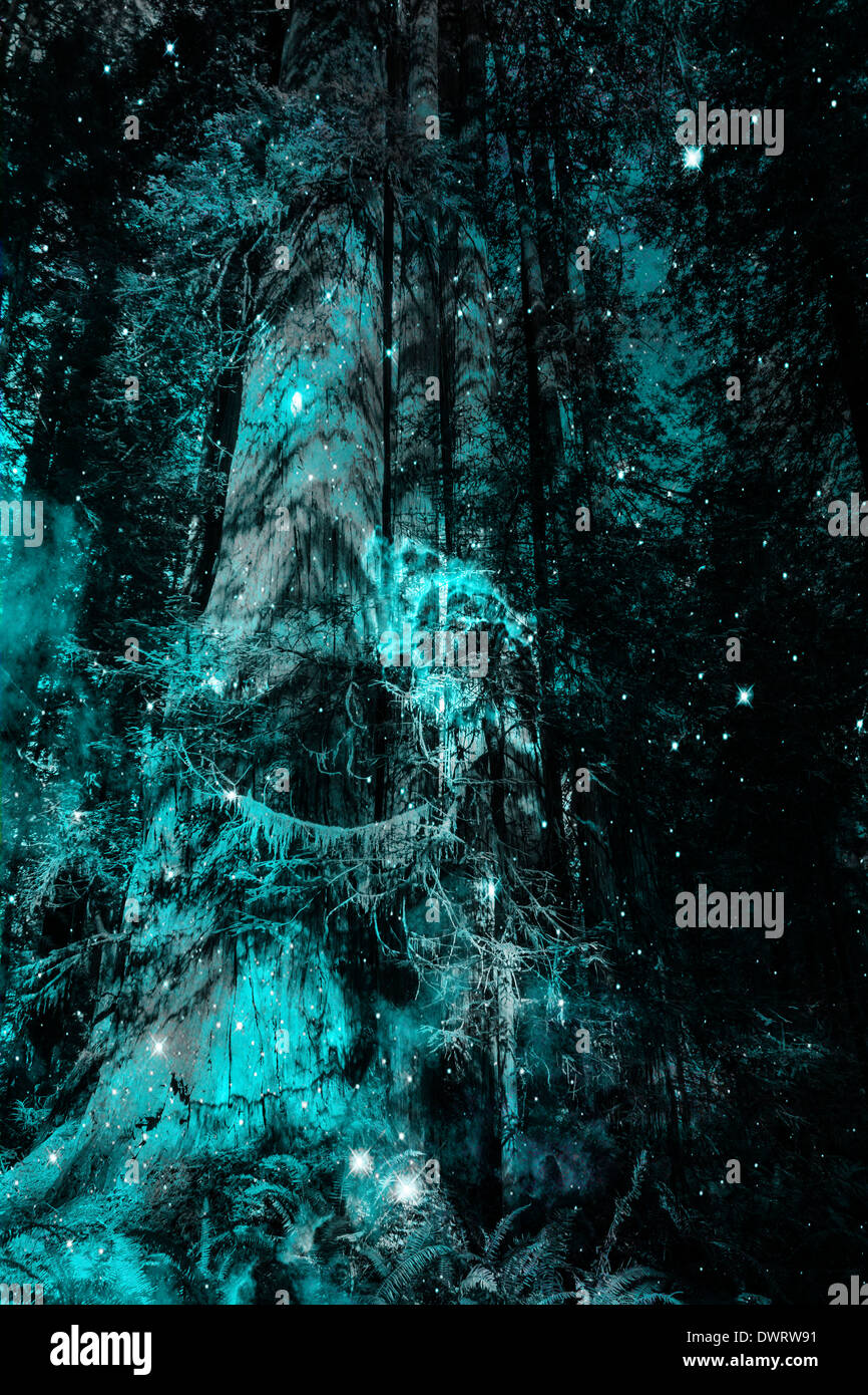 Blue fairies hi-res stock photography and images - Alamy