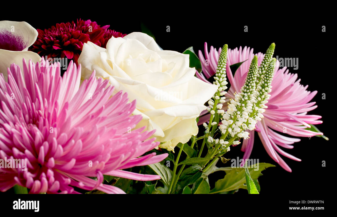 Chrysanthemum and mixed flowers hi-res stock photography and images - Alamy