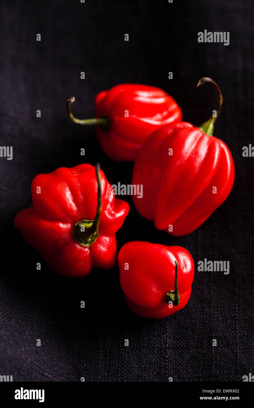 Round red peppers hi-res stock photography and images - Alamy