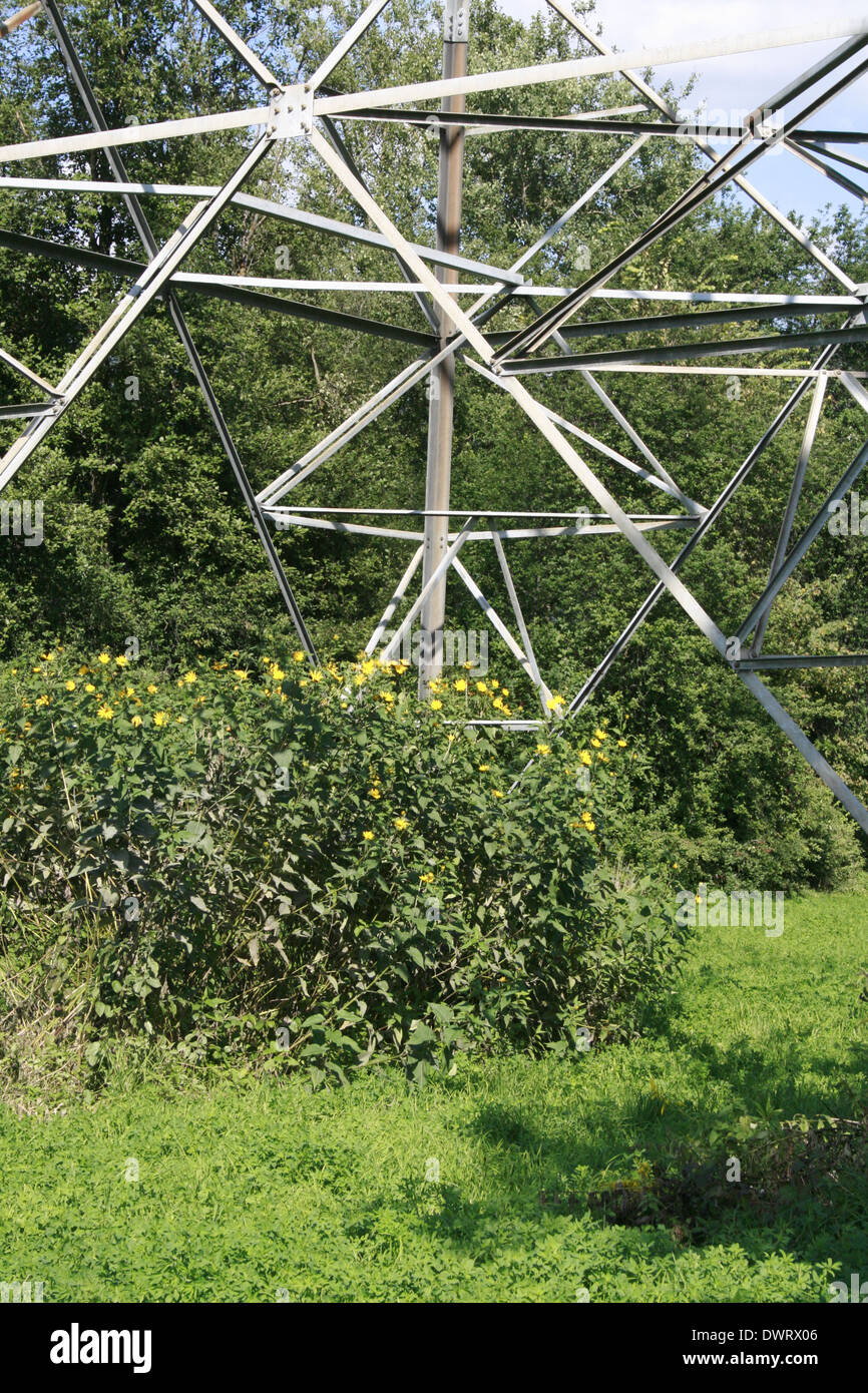 high voltage power line, and bushes Stock Photo - Alamy