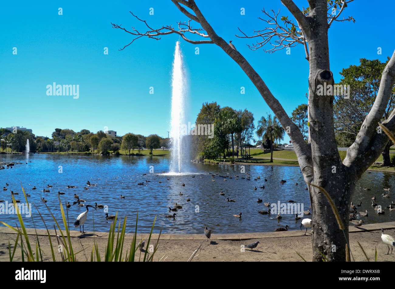 Caboolture hi-res stock photography and images - Alamy