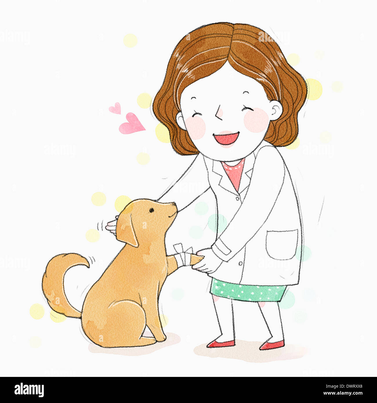 Veterinary procedure Cut Out Stock Images & Pictures - Alamy