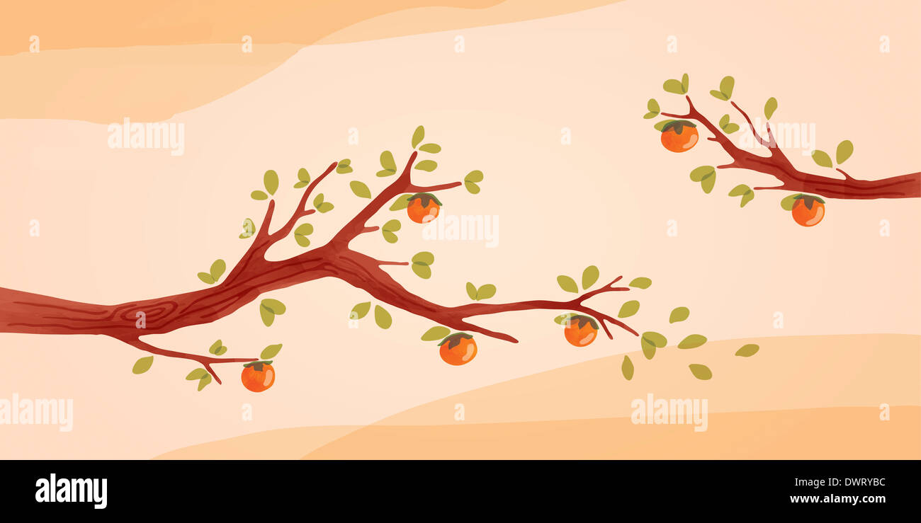 illustration of persimmon tree Stock Photo - Alamy