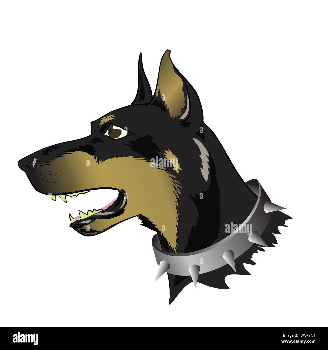 Angry Doberman Drawing