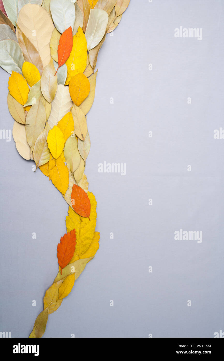 Leaf forming into a tree hi-res stock photography and images - Alamy