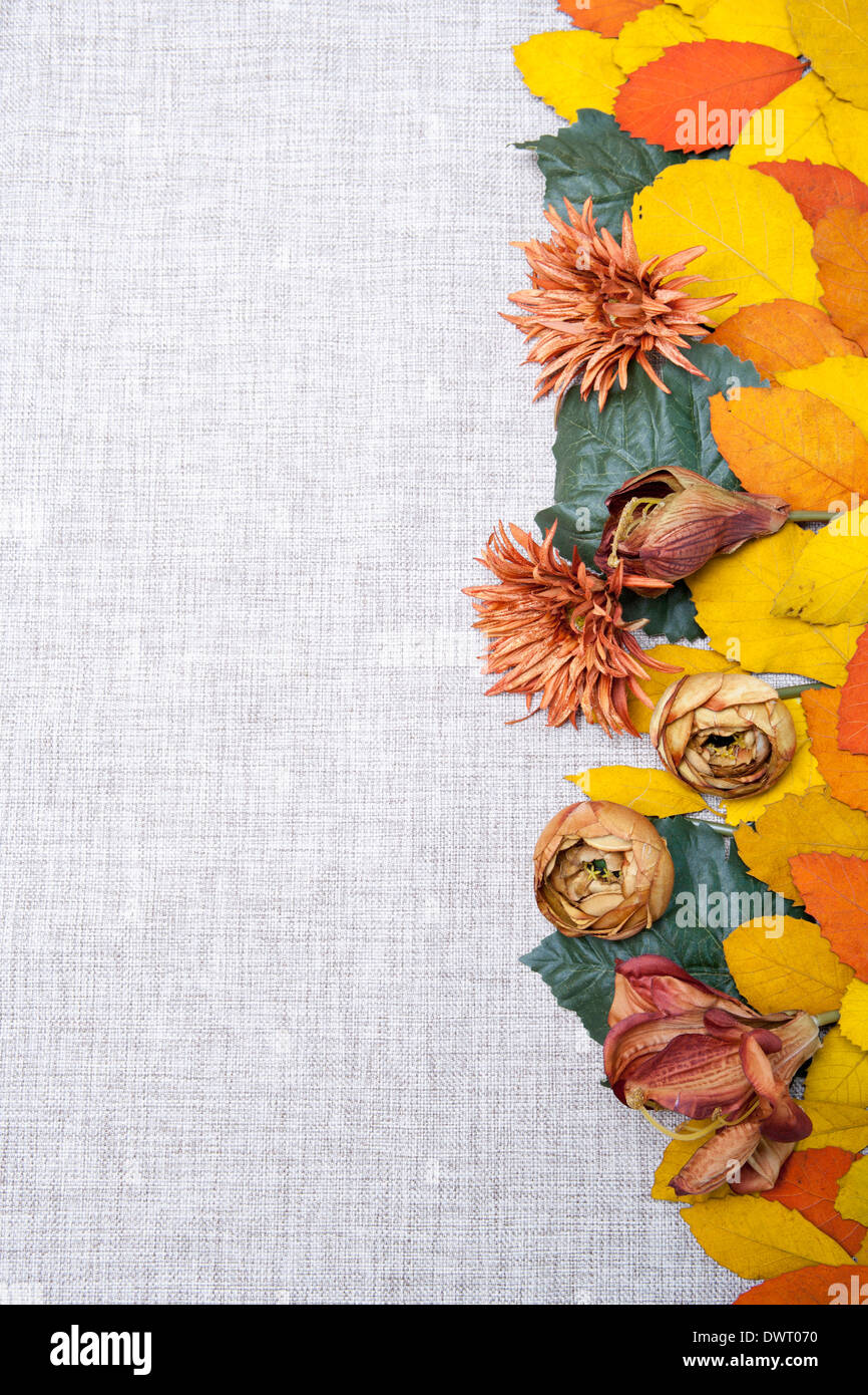 autumn trees on the right side Stock Photo - Alamy