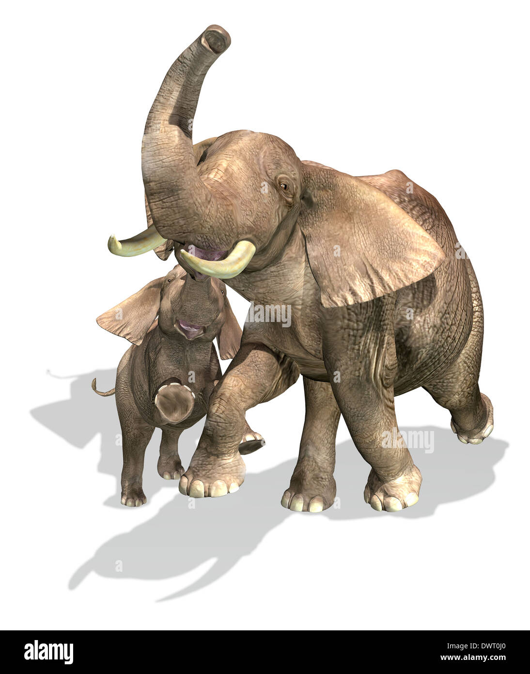 Elephants, mother and child. On white background with drop shadow ...