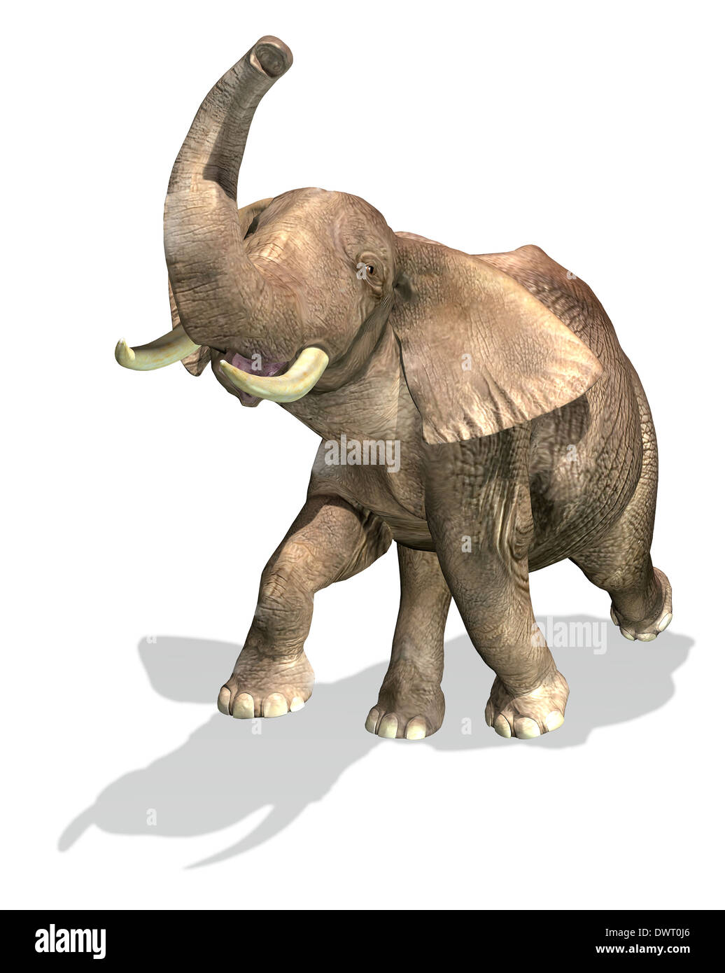 Elephant On white background with drop shadow. Clipping path included ...