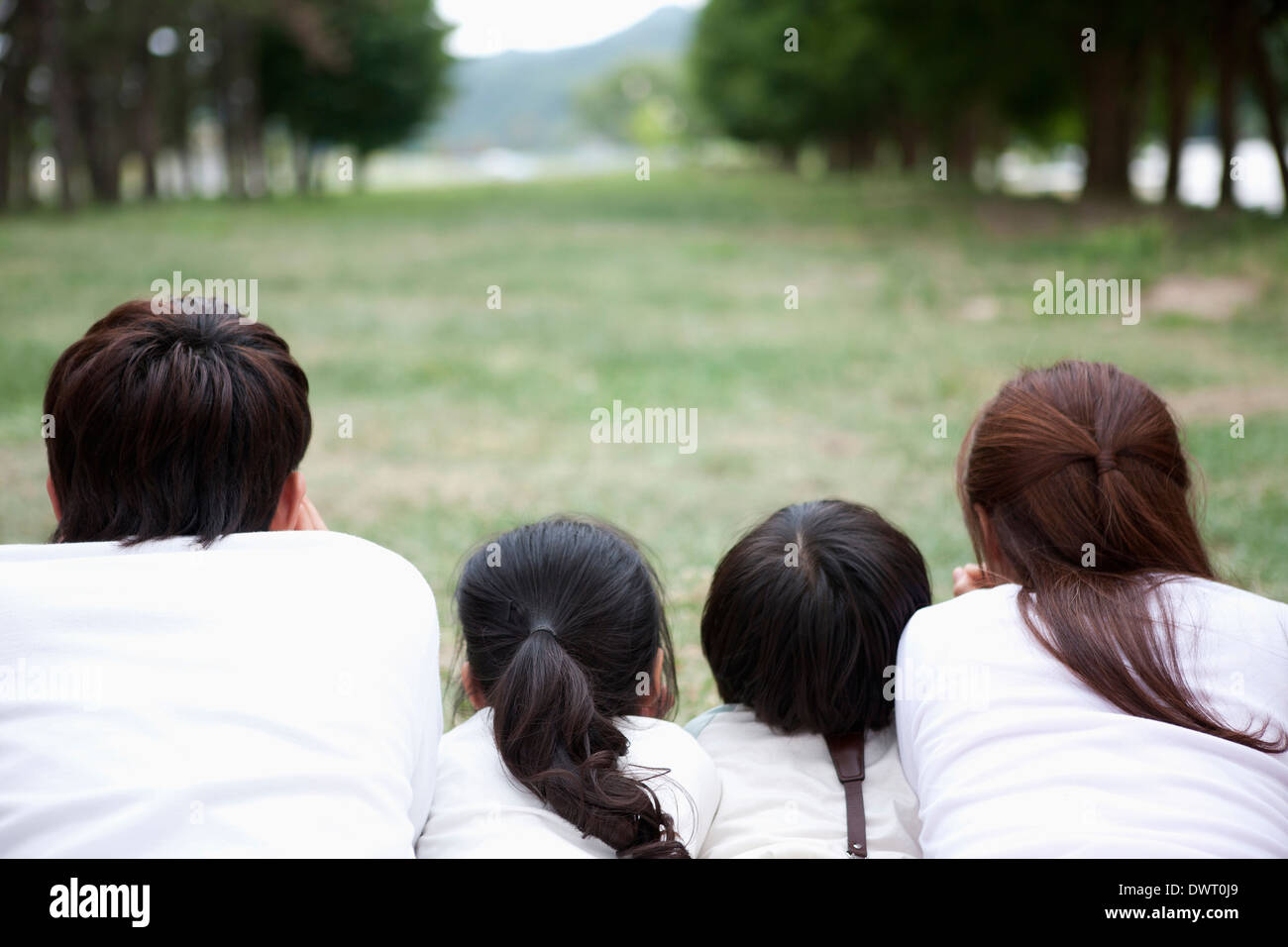 back shot of a family lying together Stock Photo - Alamy