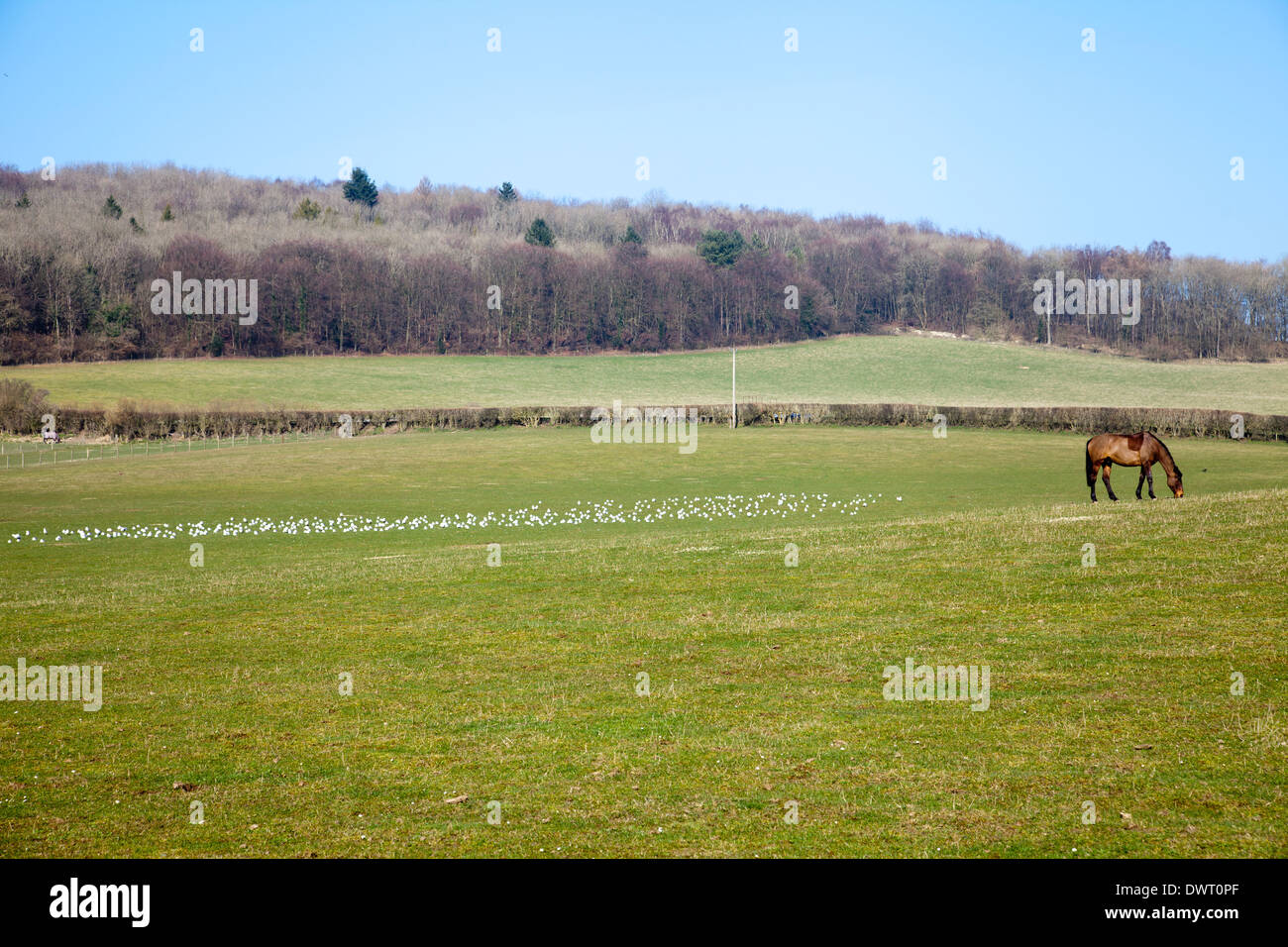 Chiltern hills uk hi-res stock photography and images - Alamy