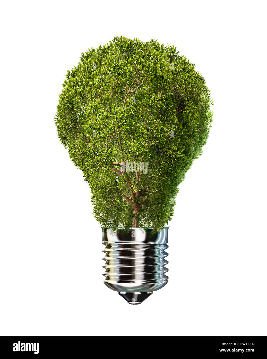 Light bulb with tree in place of glass. On white background Stock Photo ...