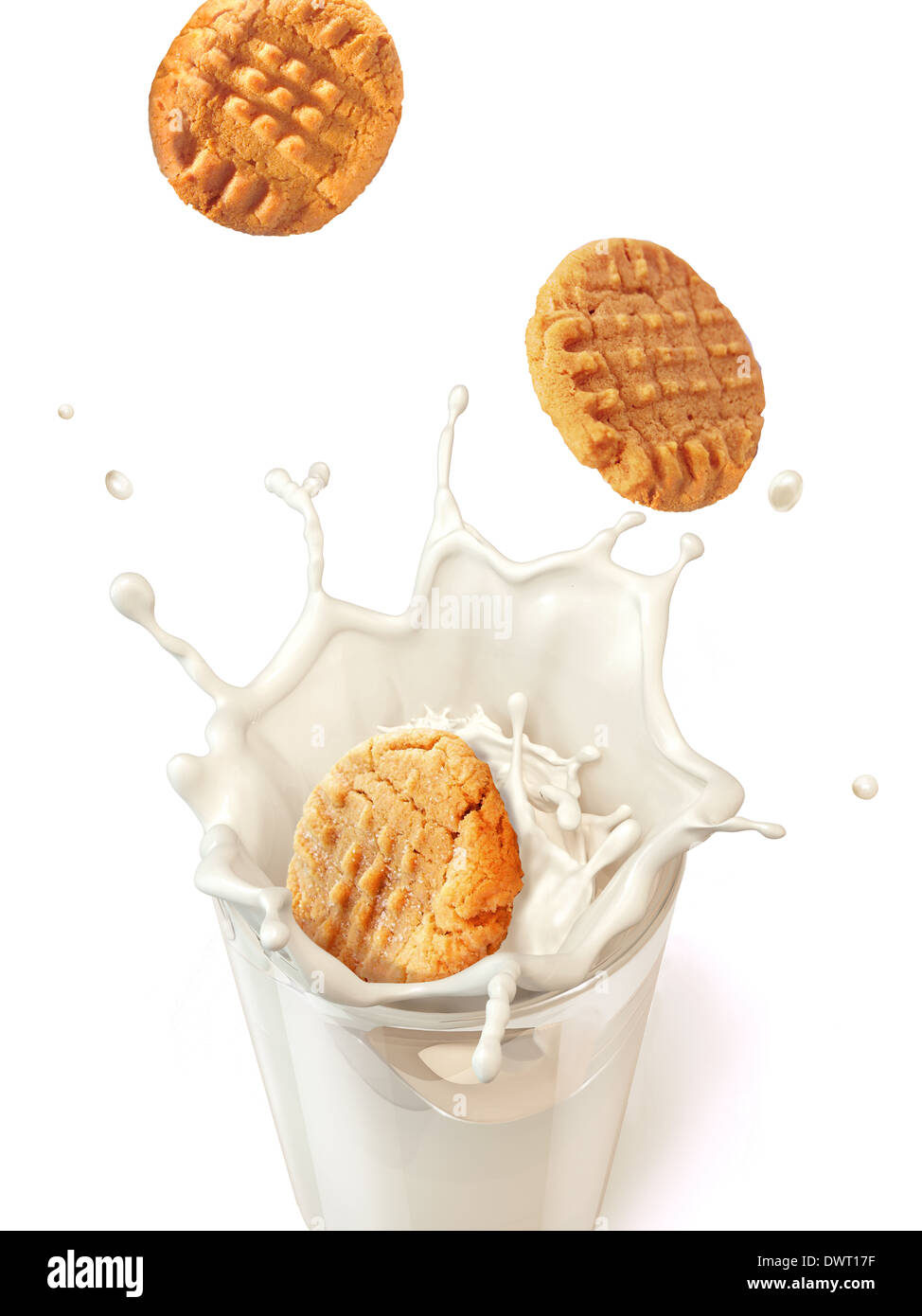 Three cookies biscuits falling into a glass mug full of fresh milk ...