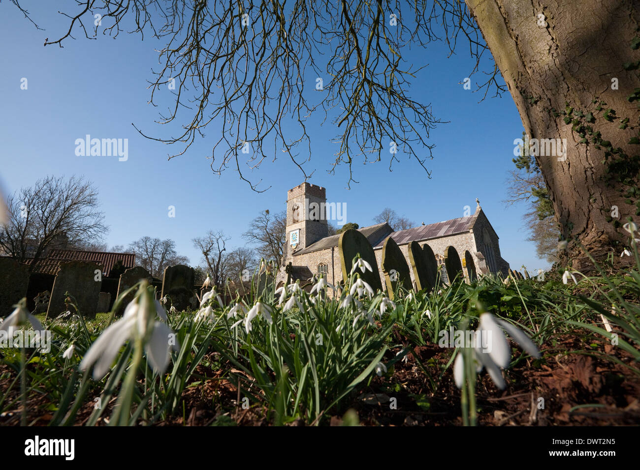 Saxlingham nethergate hi-res stock photography and images - Alamy
